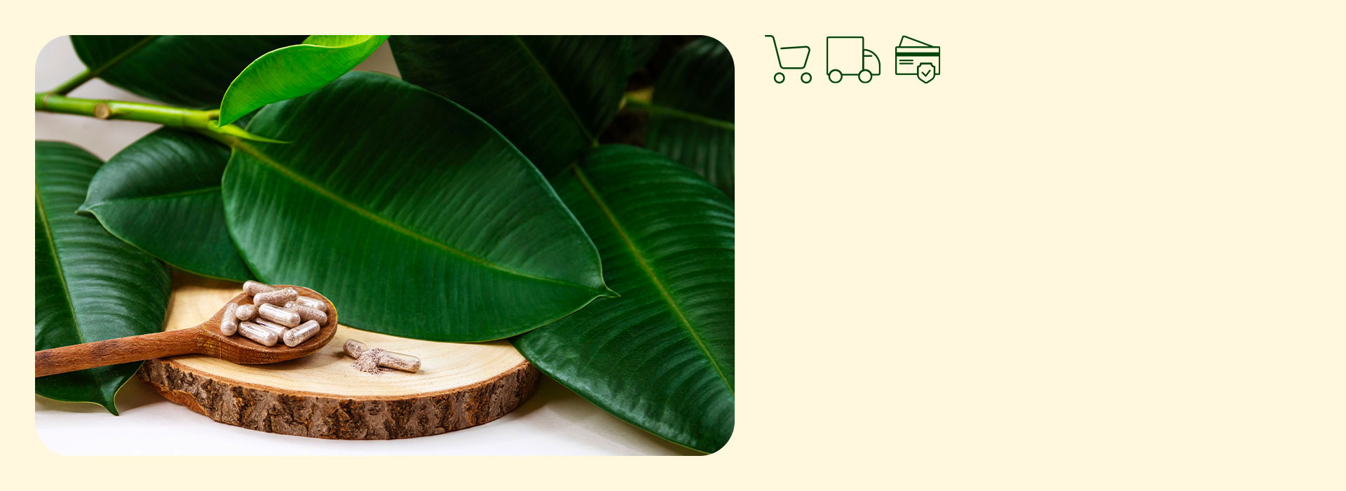 Nutrimea - Compléments alimentaires & Huiles essentielles